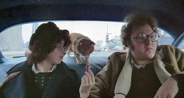 Who is Josh Mostel? Check out his Biography and Personal Life